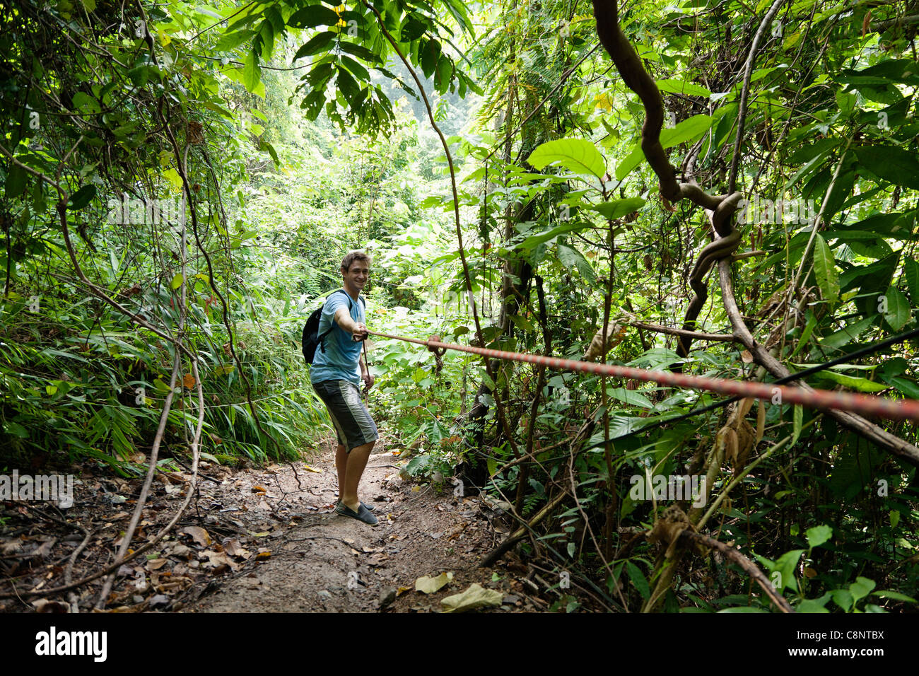 Caucasian man pulling rope in jungle Stock Photo - Alamy