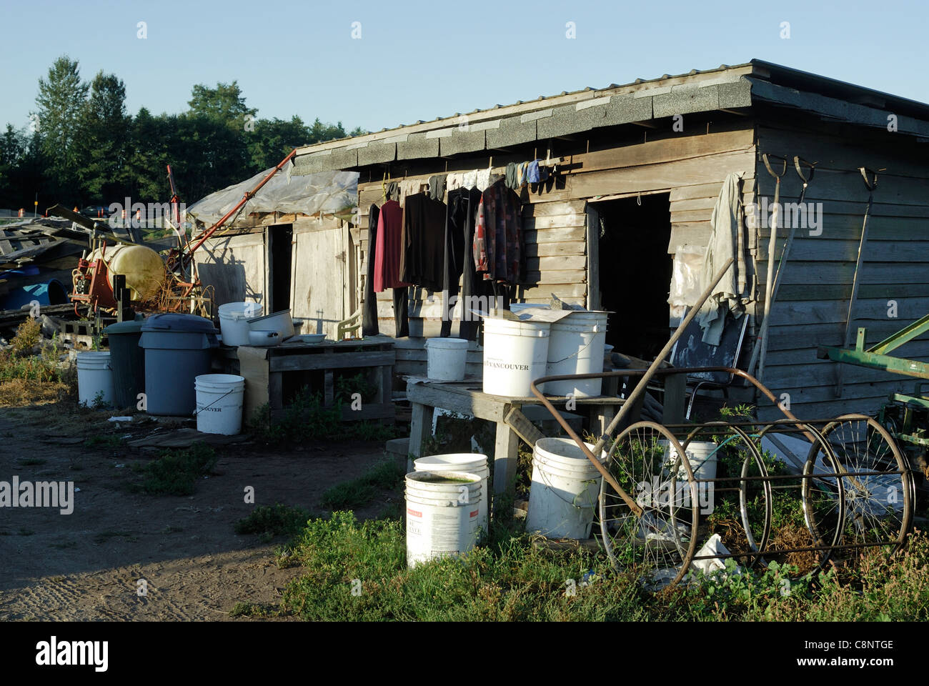 Old shack on a farm littered with equipment and pails, used for storage ...