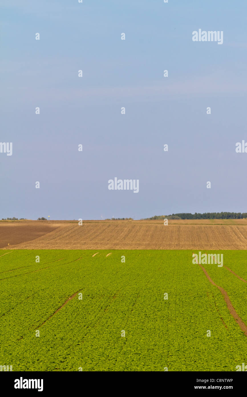 A rural scenery with an empty field close to Vienna Stock Photo - Alamy