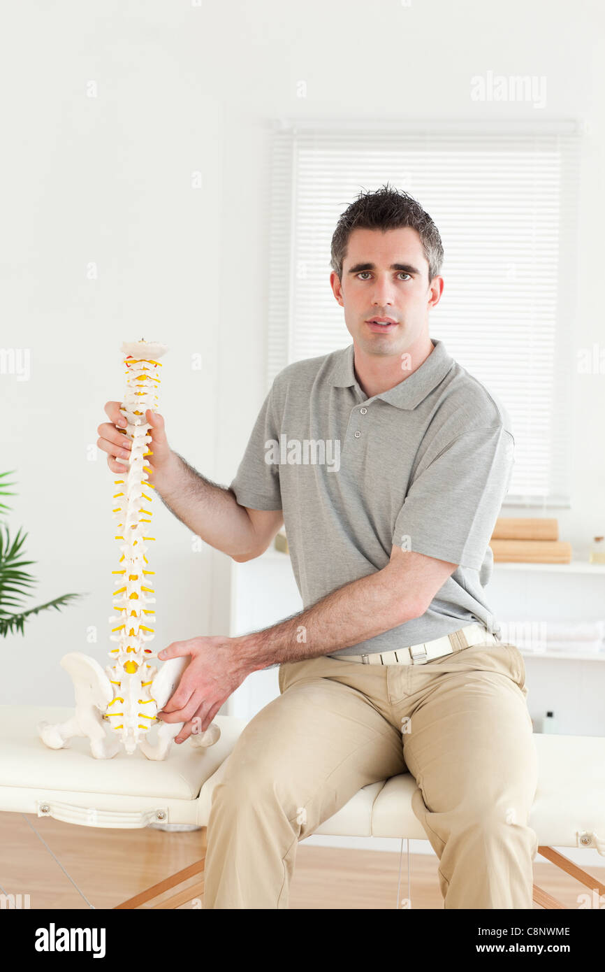 Chiropractor holding the model-spine looking into the camera Stock ...