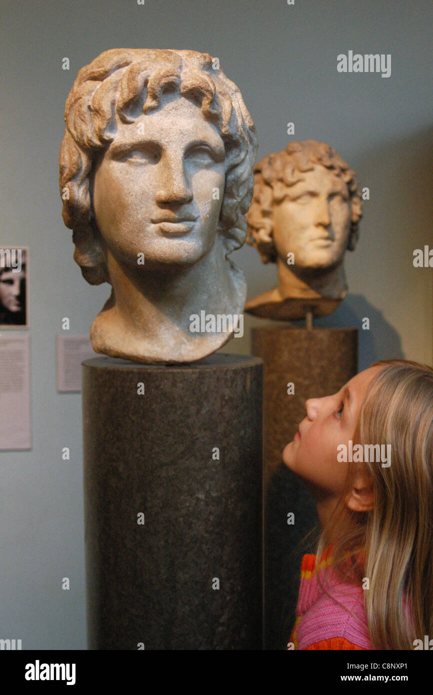 Bust Of Alexander The Great at Sherry Starks blog