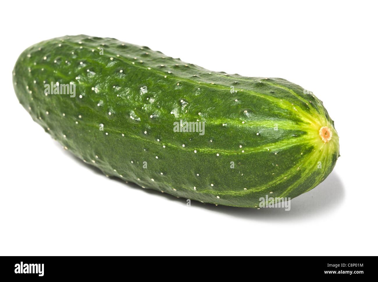 Single cucumber on white background with shadow Stock Photo - Alamy
