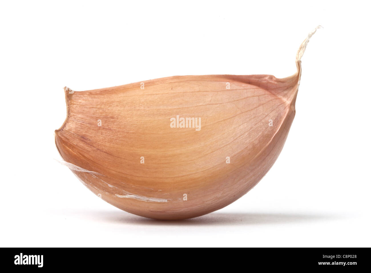 Single garlic clove closeup on white background with shadow Stock Photo ...