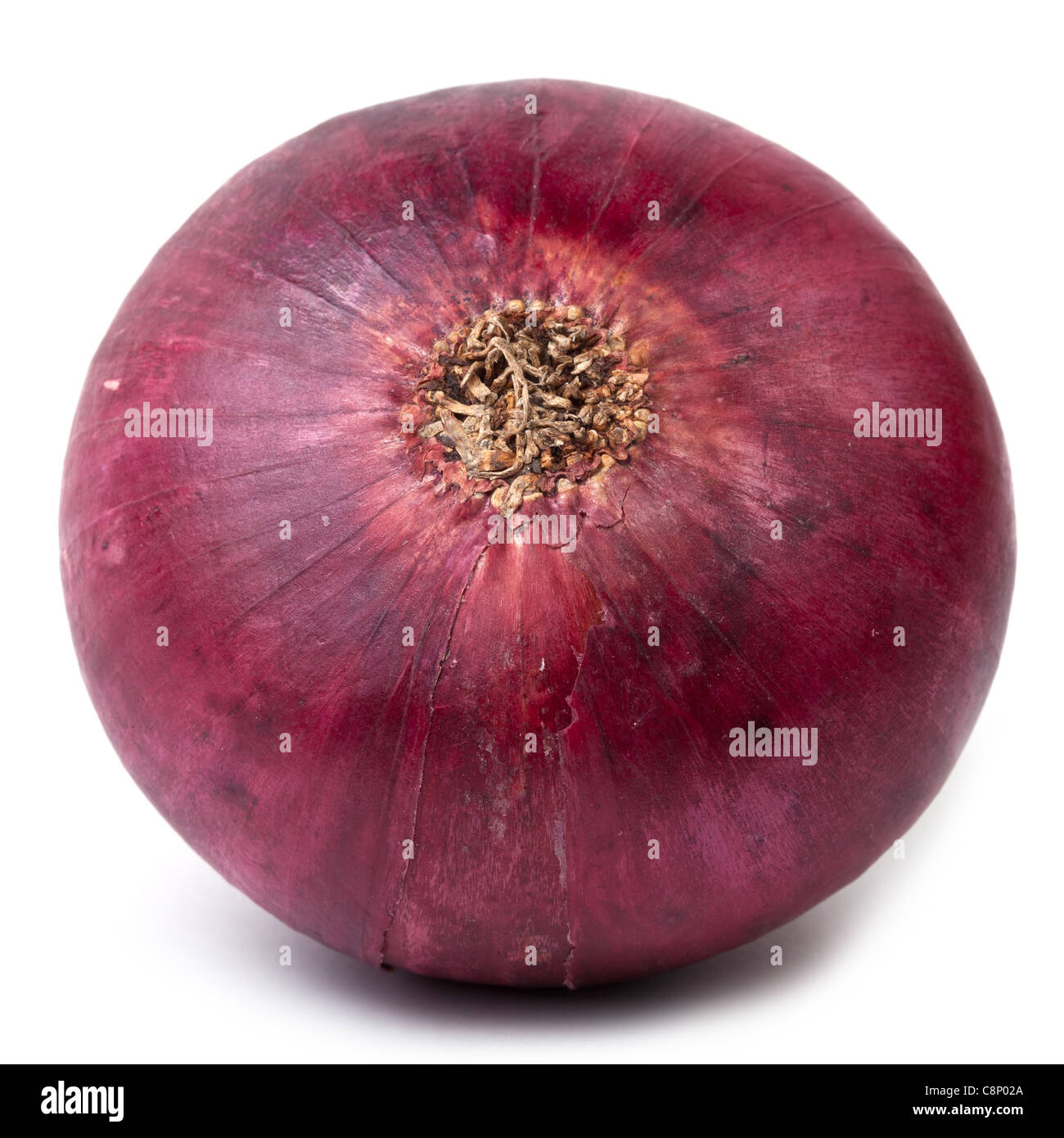 Single red onion bulb on white background with shadow Stock Photo - Alamy