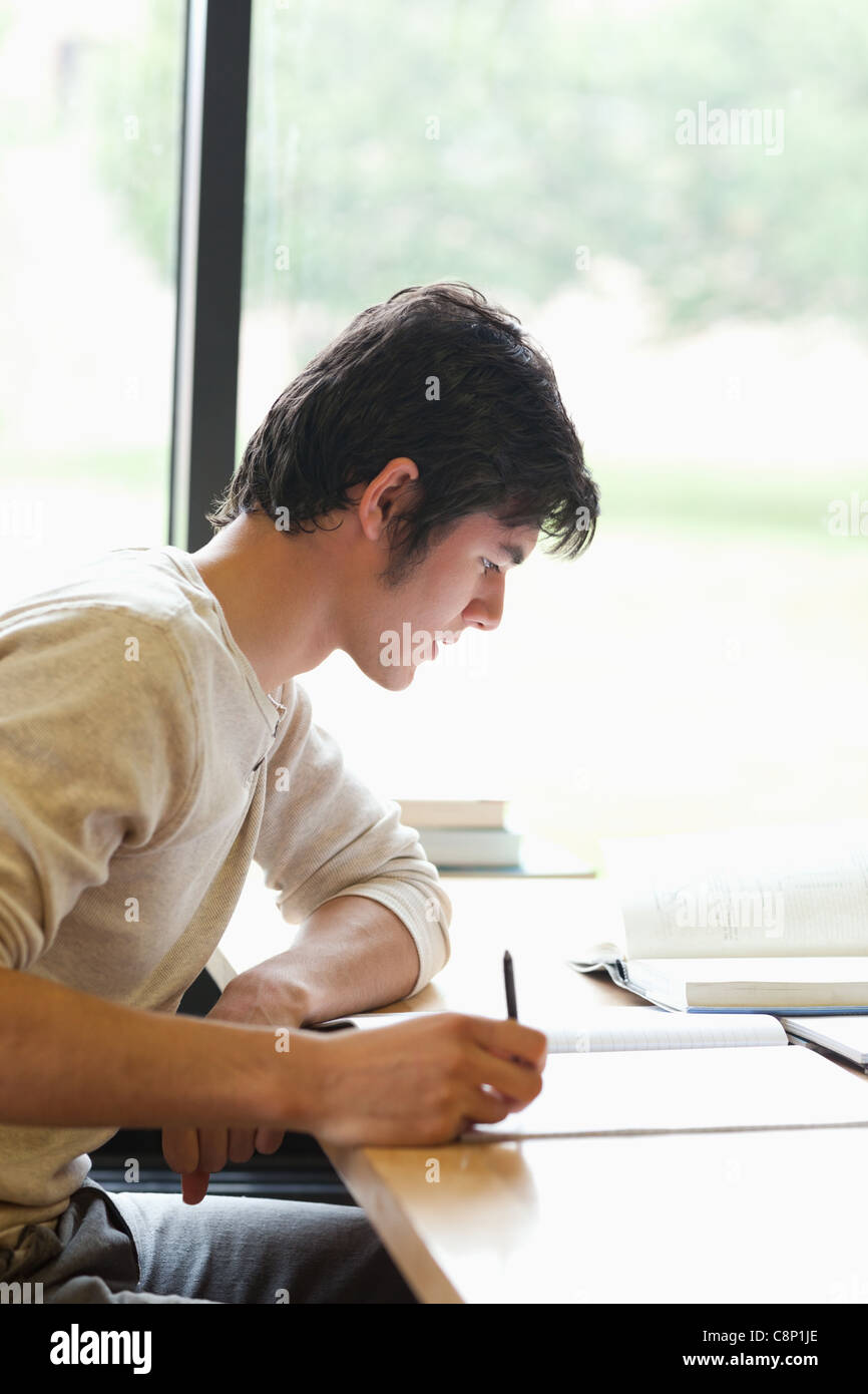 Reviewing Books High Resolution Stock Photography and Images - Alamy