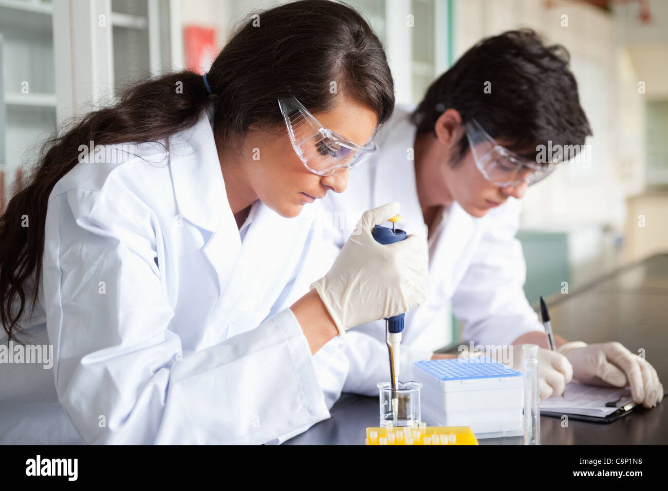 Concentrate science students making an experiment Stock Photo - Alamy