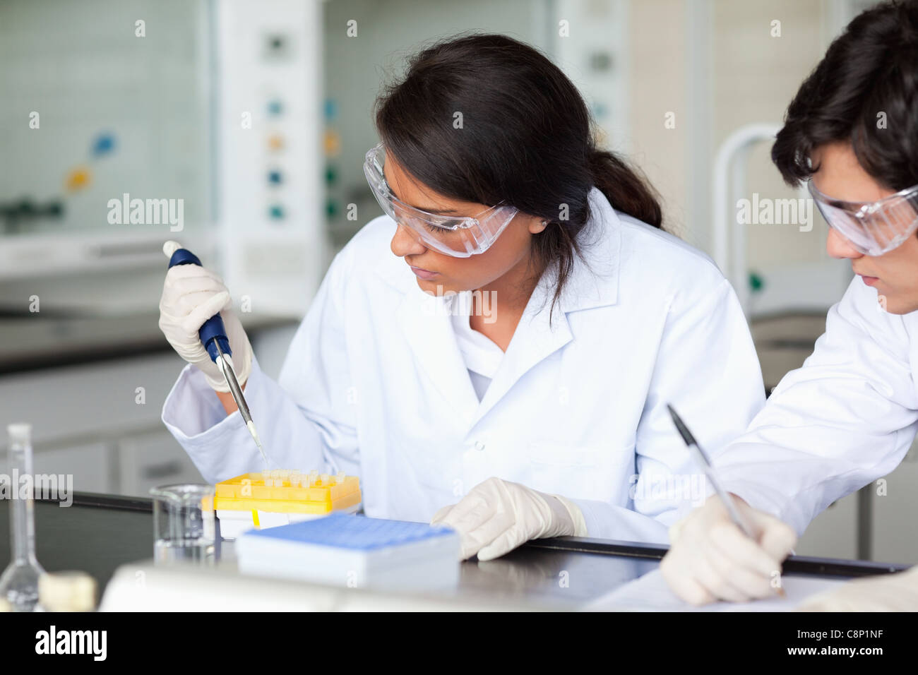 Serious scientists working Stock Photo - Alamy