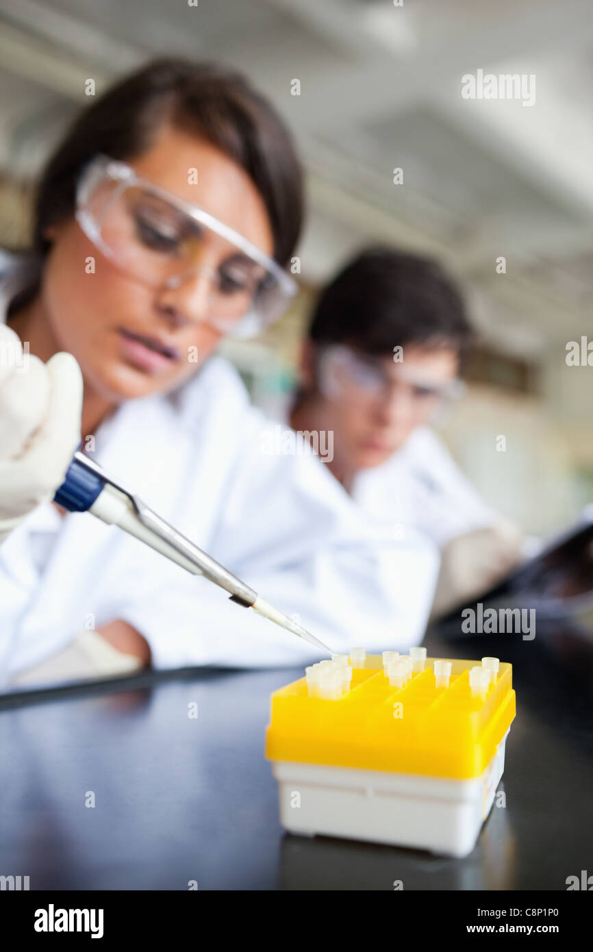 Scientist pouring a liquid in a tube Stock Photo - Alamy