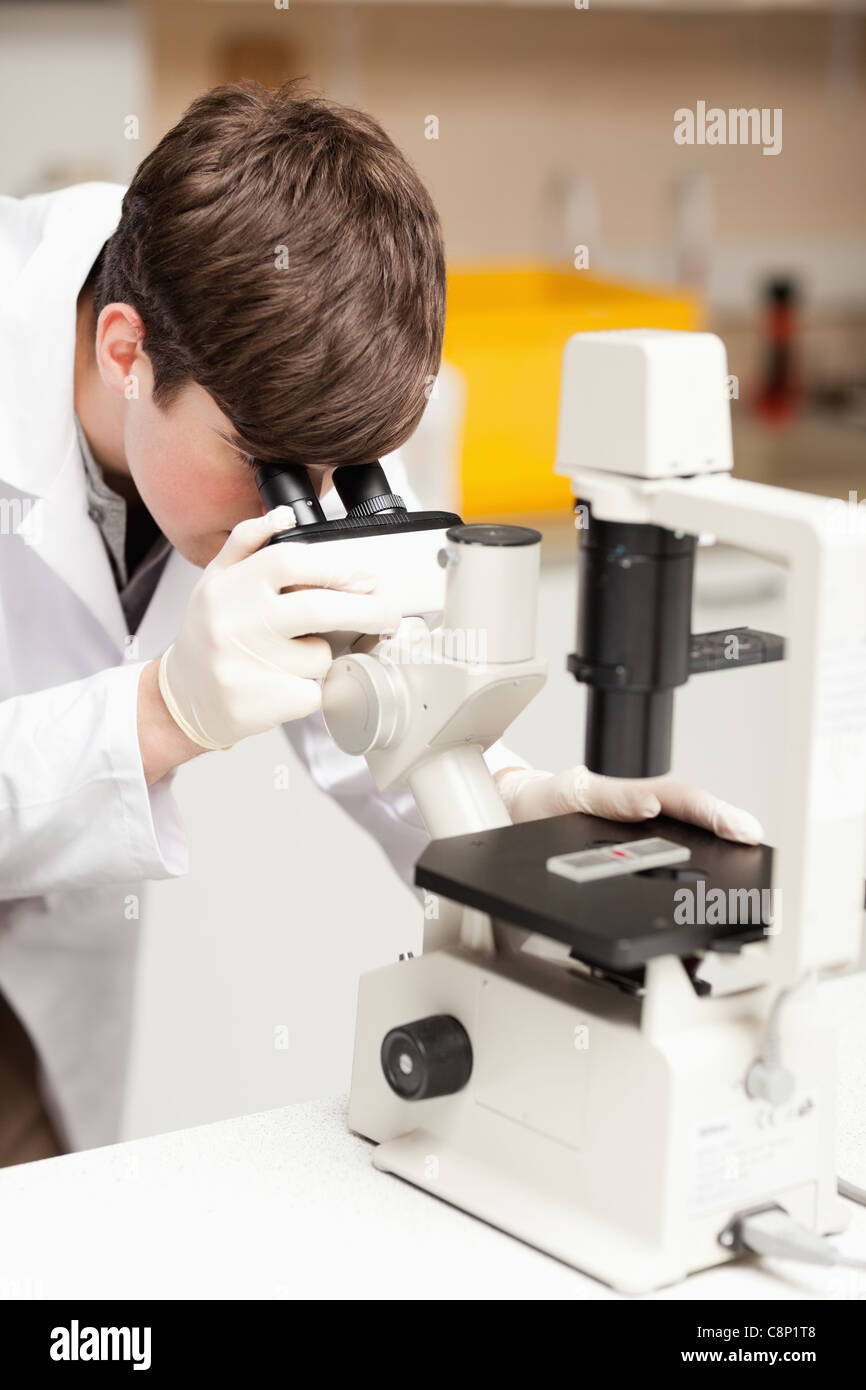 Scientist looking in a microscope Stock Photo - Alamy