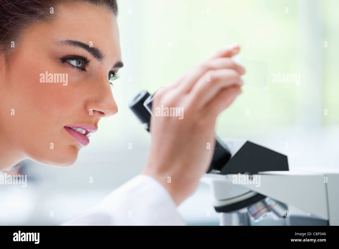 Young woman looking at a microscope slide Stock Photo - Alamy