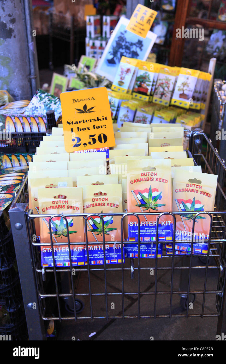 Amsterdam Holland Netherlands Cannabis seeds for sale at the Flower ...