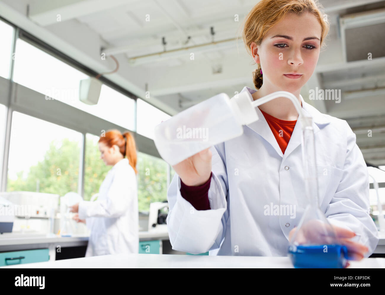 Science students working Stock Photo - Alamy
