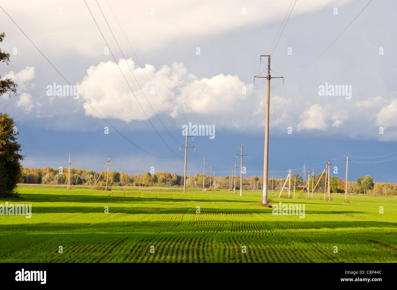 autumn crop field and rain clouds Stock Photo - Alamy