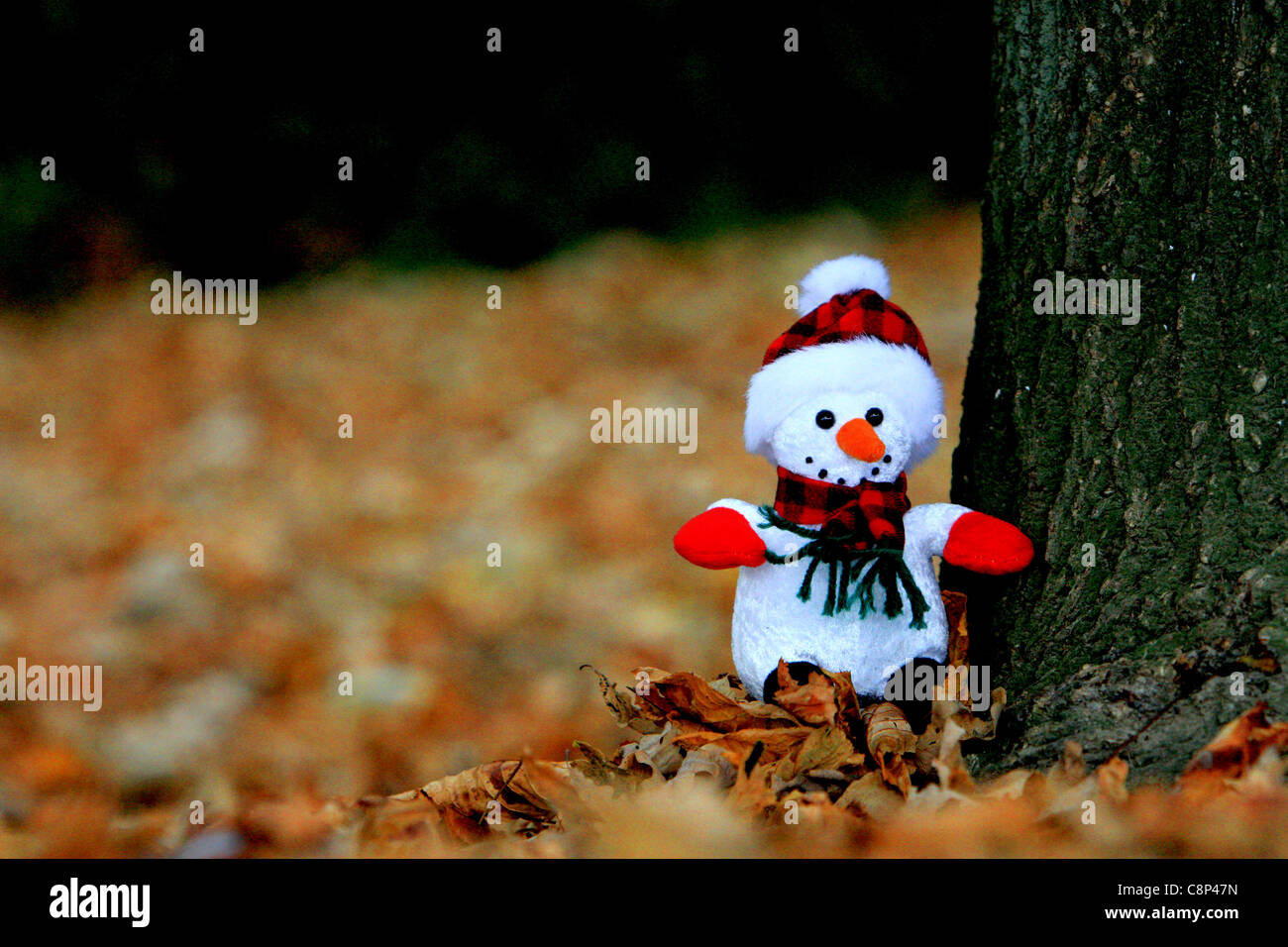 A toy snowman left in the autumn leaves Stock Photo - Alamy