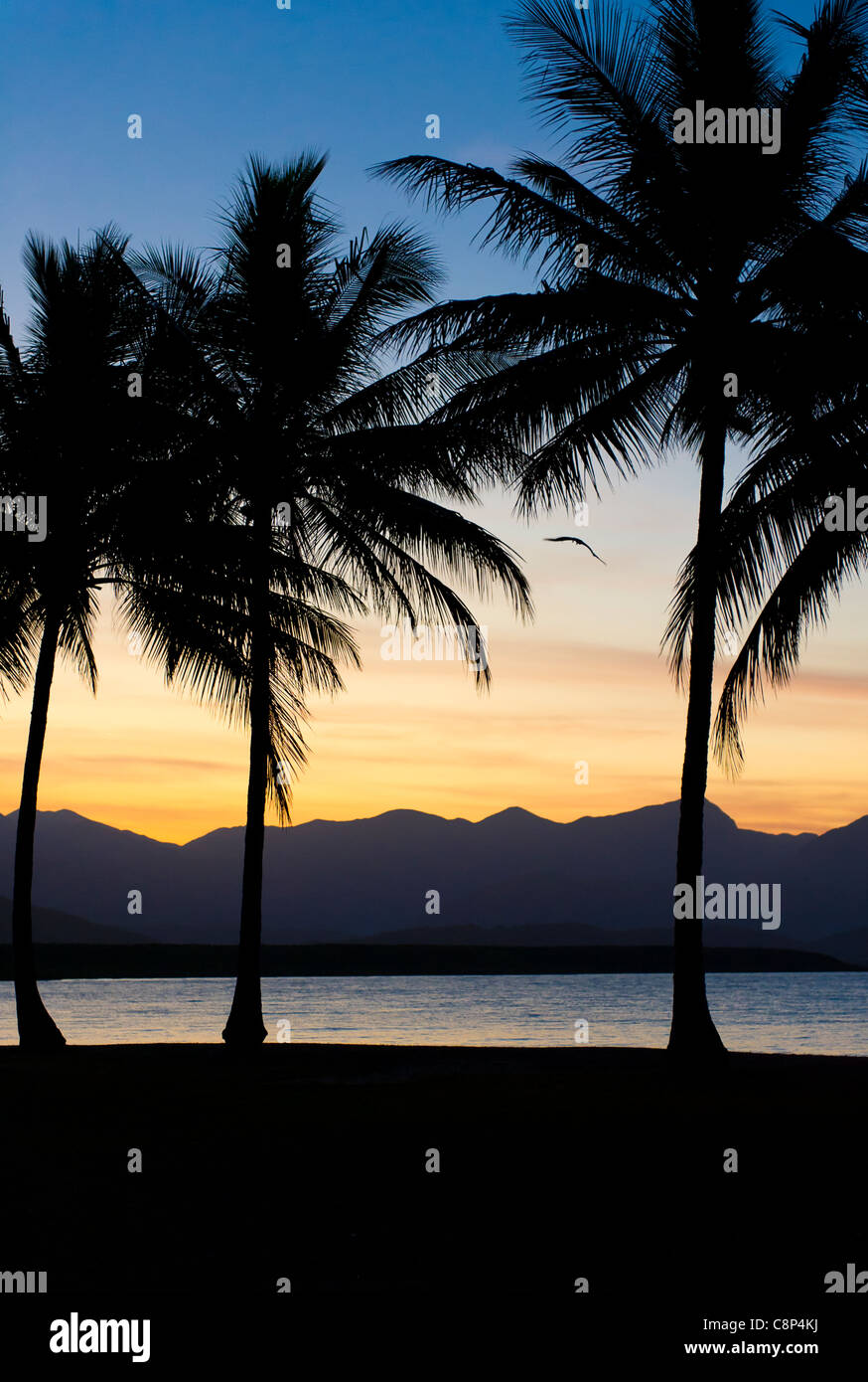 Anzac silhouette hi-res stock photography and images - Alamy