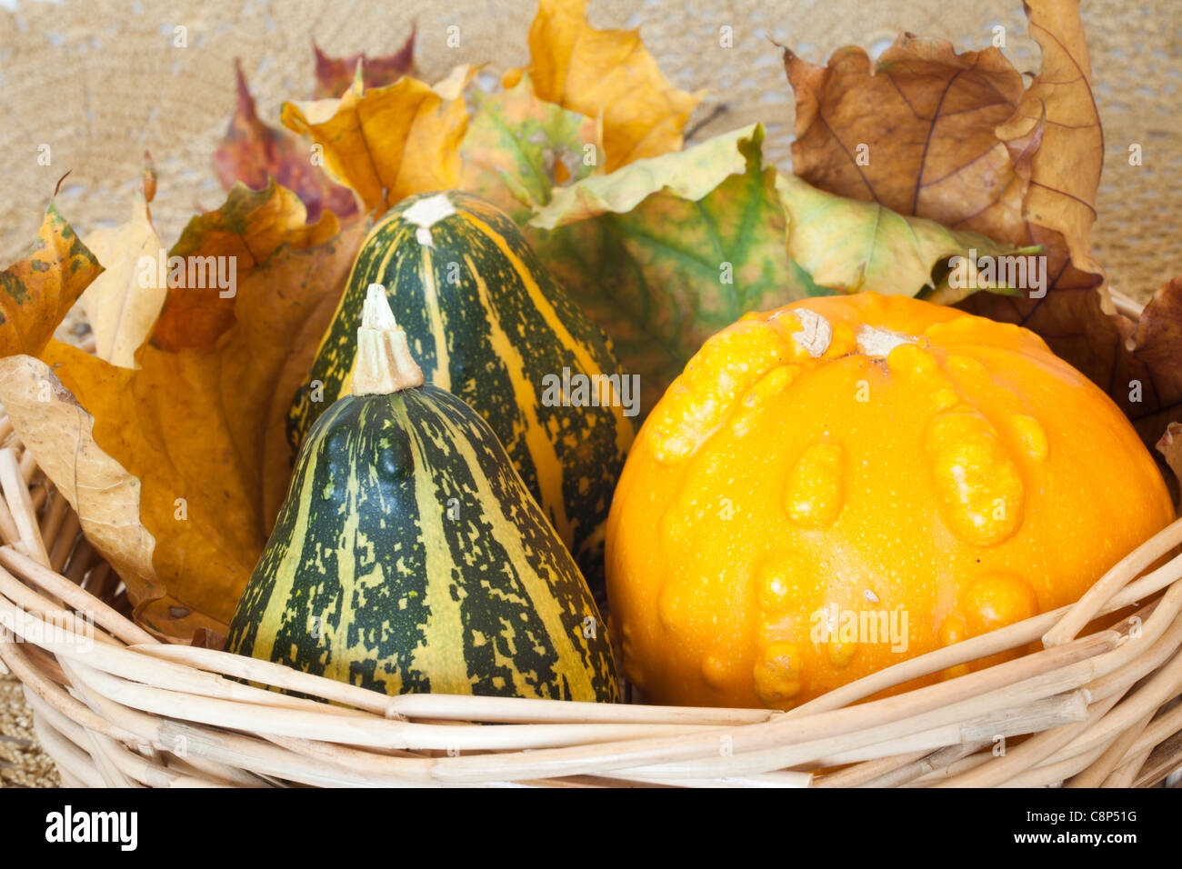Tray scenery hi-res stock photography and images - Alamy