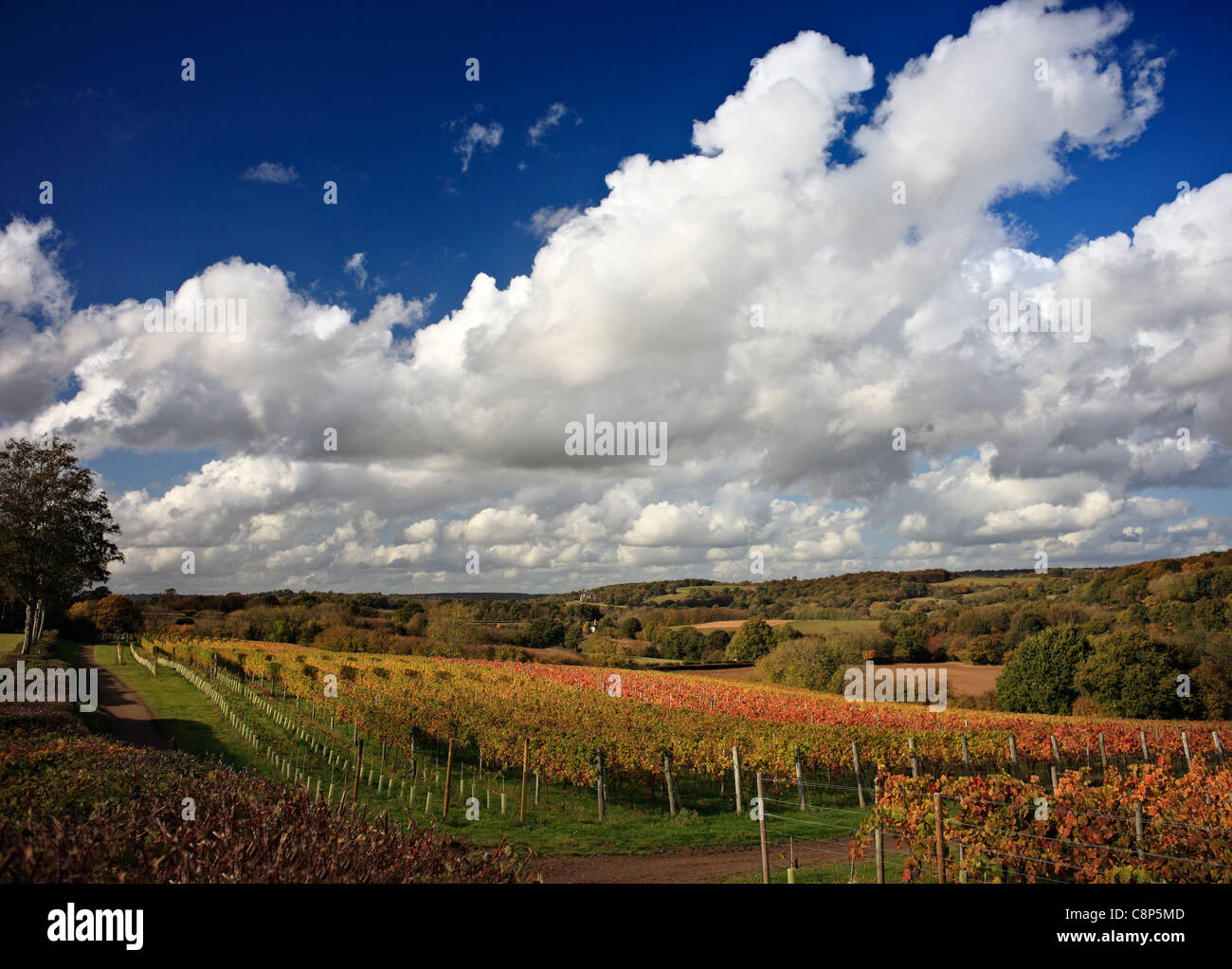 Britain england kent lamberhurst hi-res stock photography and images ...