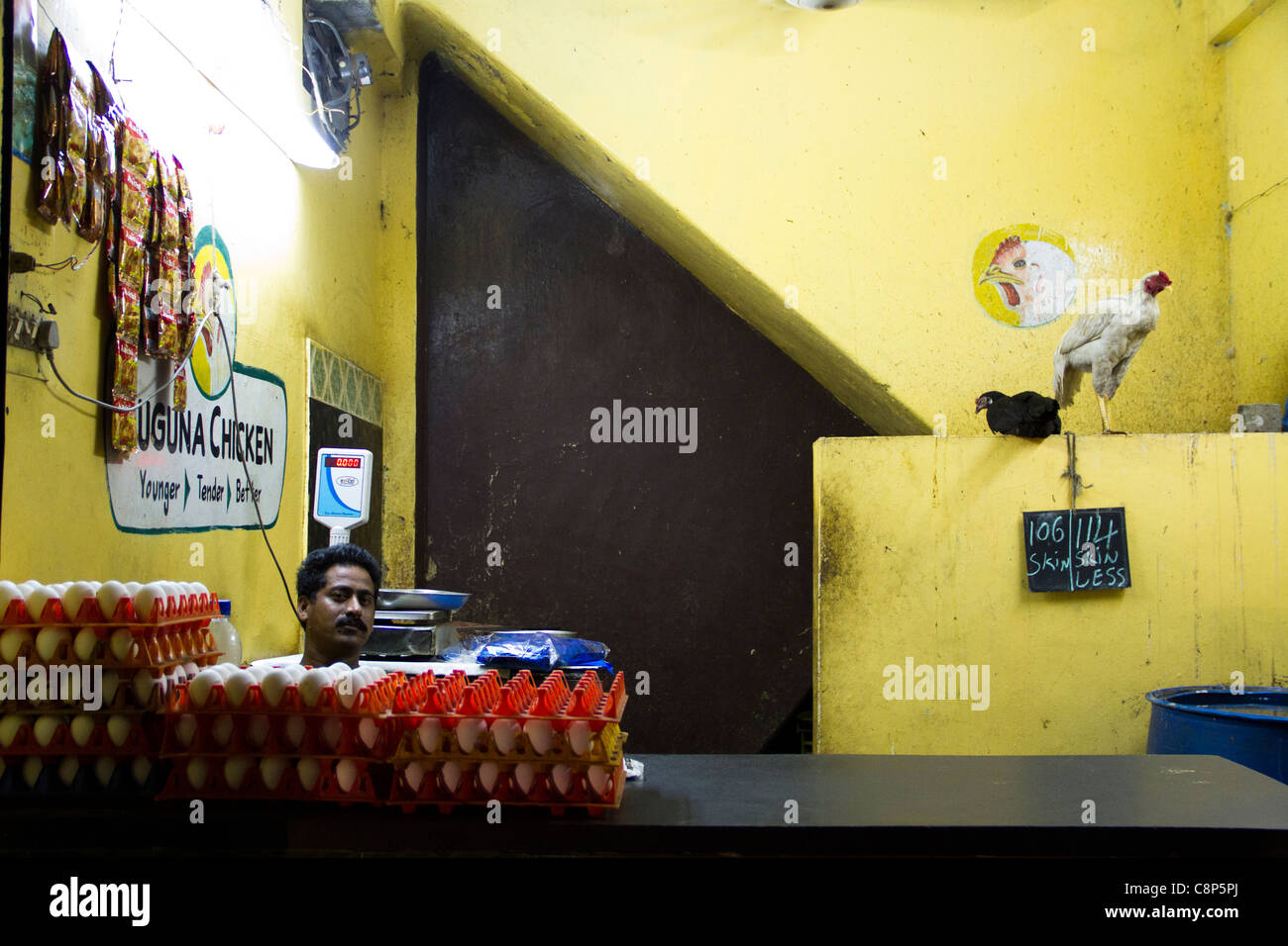 A man selling chickens and eggs from his basic shop opposite the bus ...