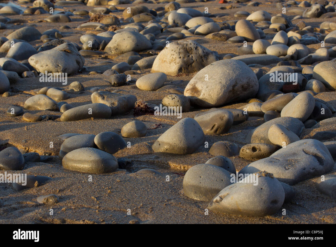 Beach with round stones hi-res stock photography and images - Alamy