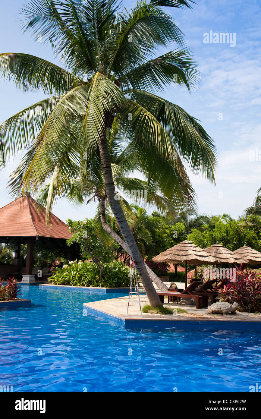 Swimming pool with sunshade and reclining chairs in the tropical resort ...