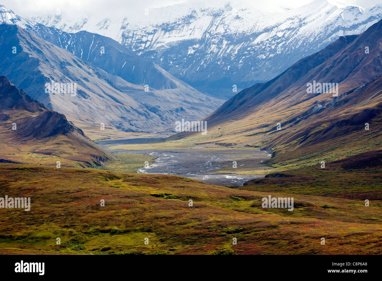 Denali's Landscape Alaska USA Stock Photo - Alamy