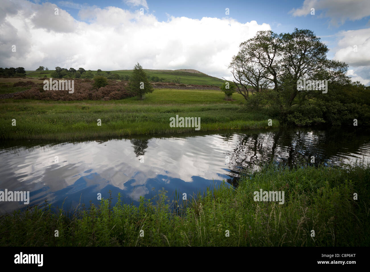 Knipe scar seen across the river Lowther, Cumbria England Stock Photo ...