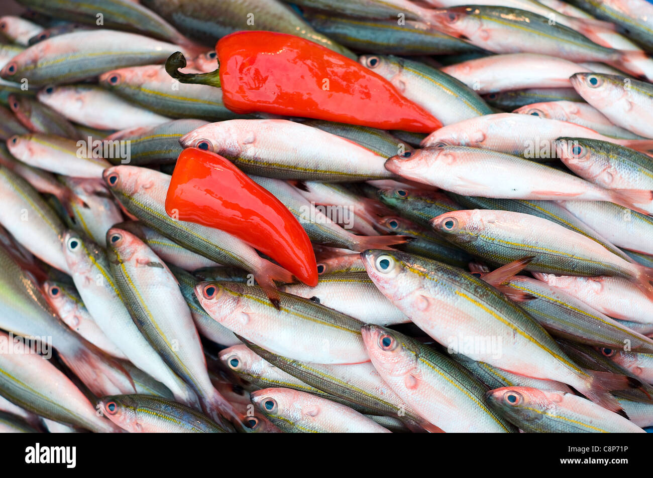 Display seafood in philippines market hi-res stock photography and ...
