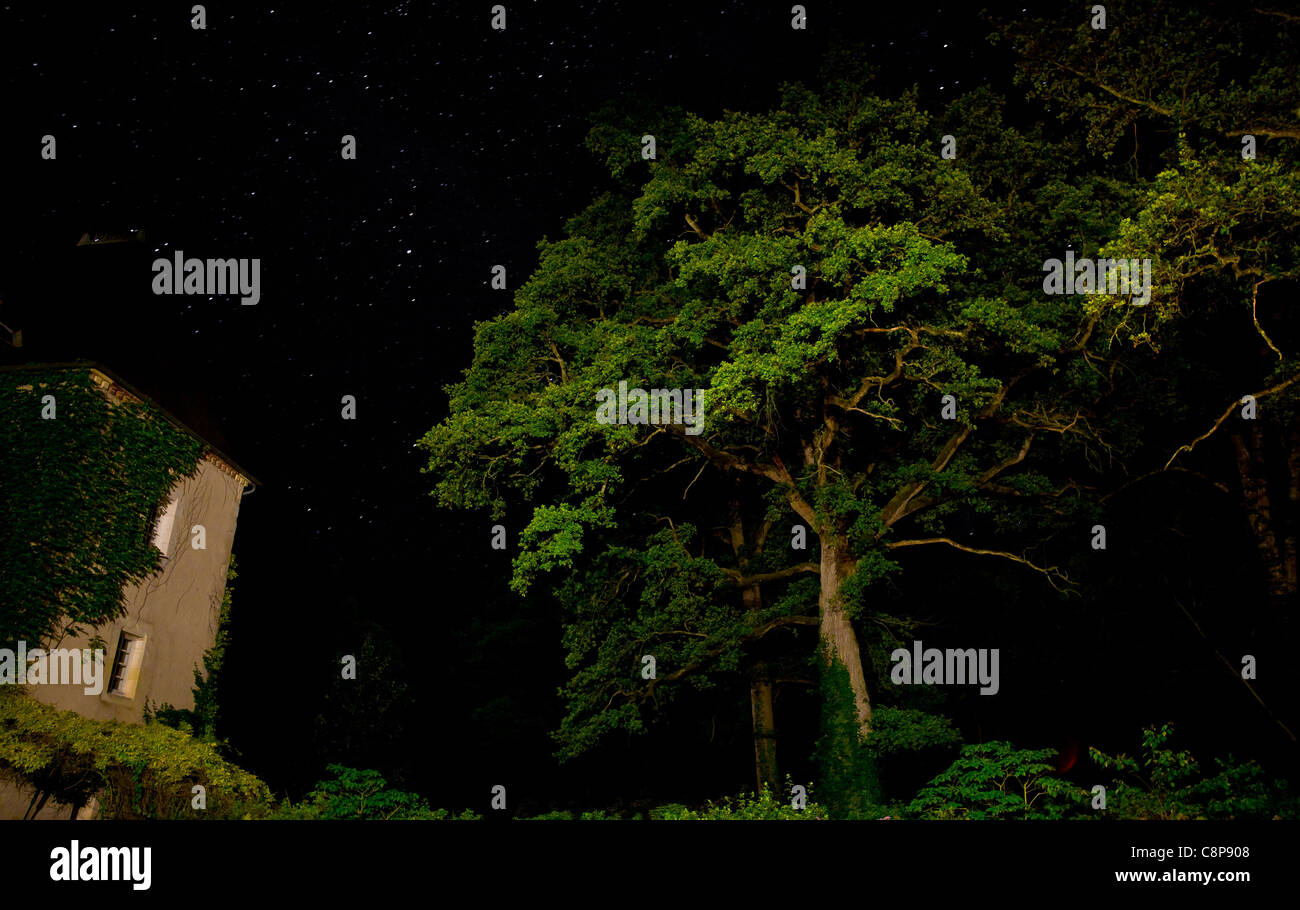 Oak night hi-res stock photography and images - Alamy