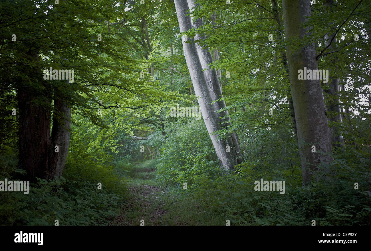 Summer neighbors hi-res stock photography and images - Alamy