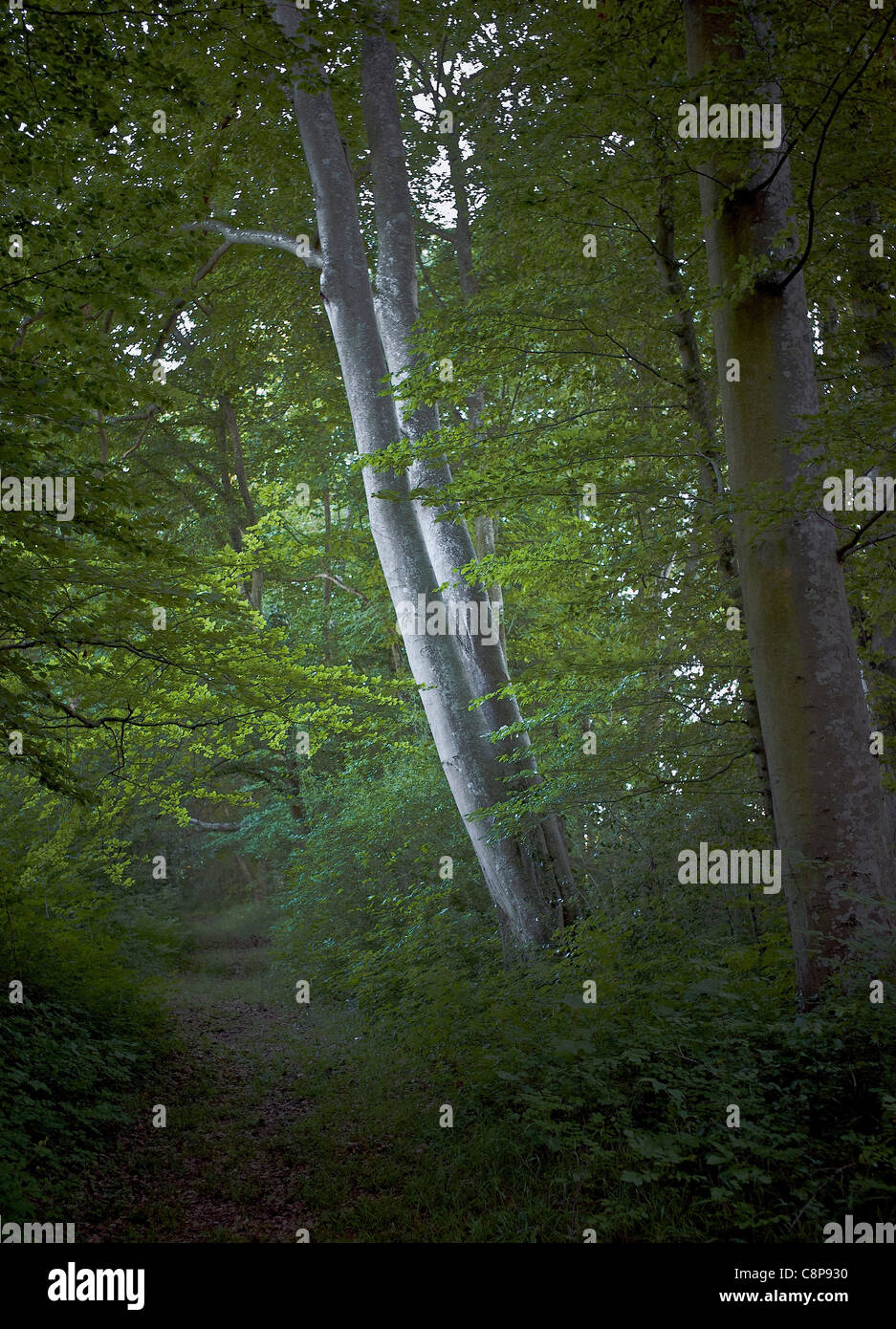 Summer neighbors hi-res stock photography and images - Alamy