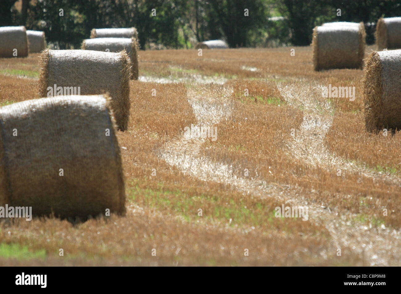 Bails of hay ireland hi-res stock photography and images - Alamy