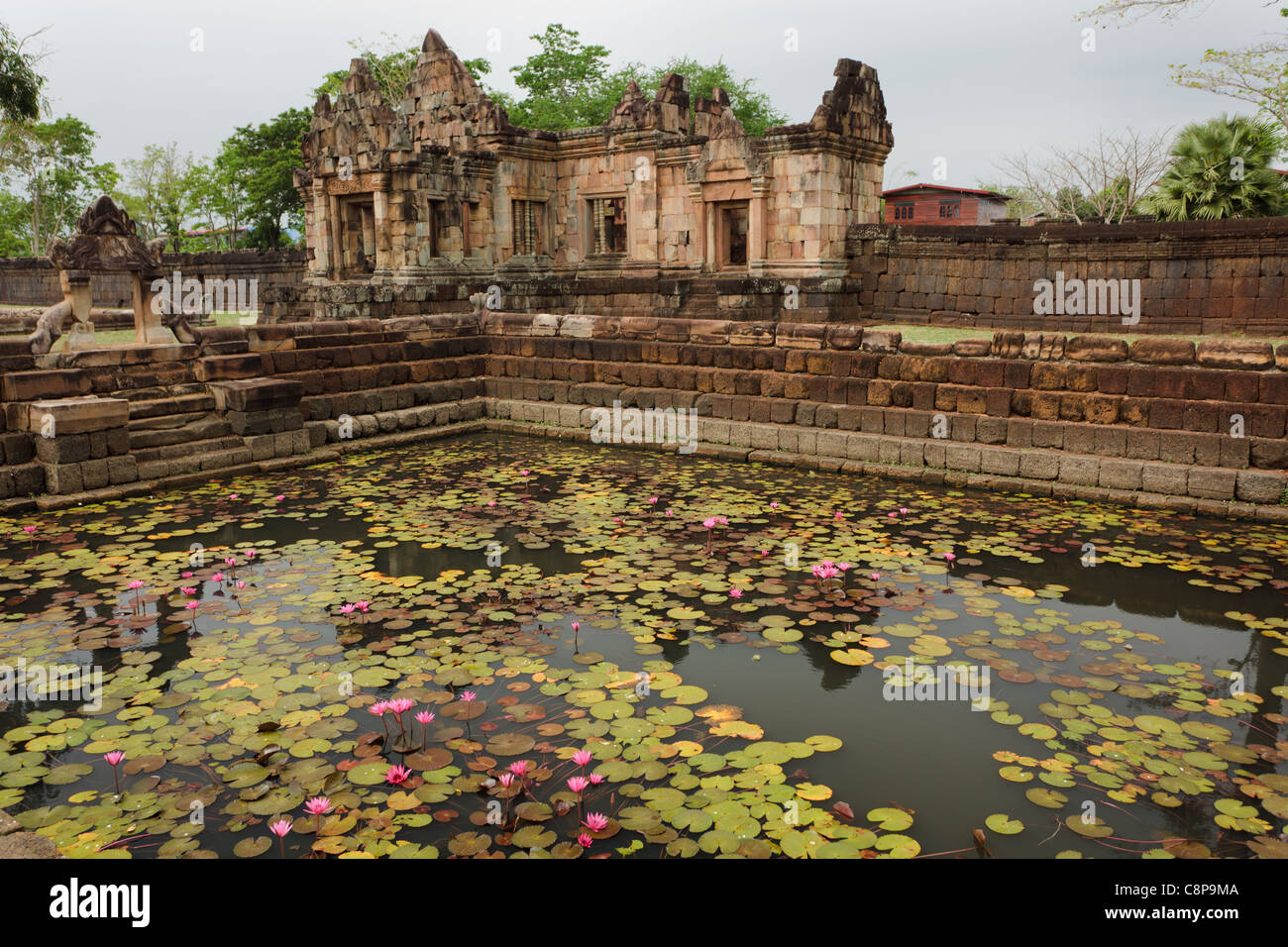 Tam pool hi-res stock photography and images - Alamy