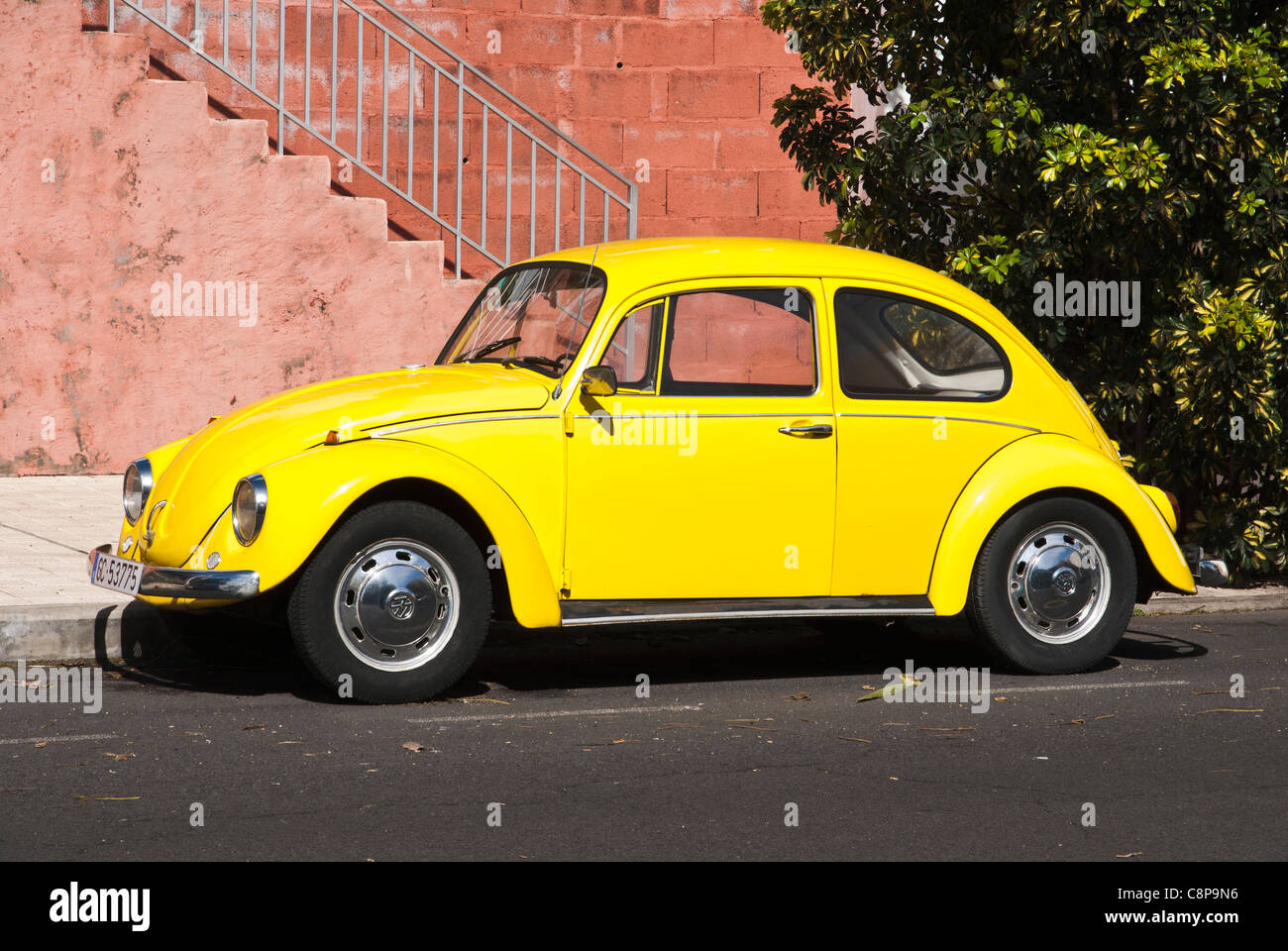 Yellow Beetle Interior