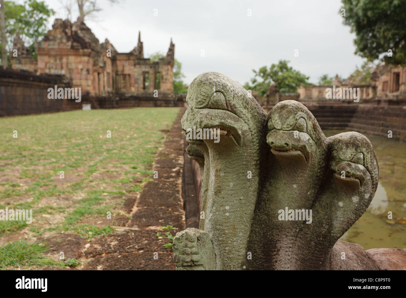 Temple Snake Stock Photos & Temple Snake Stock Images - Alamy