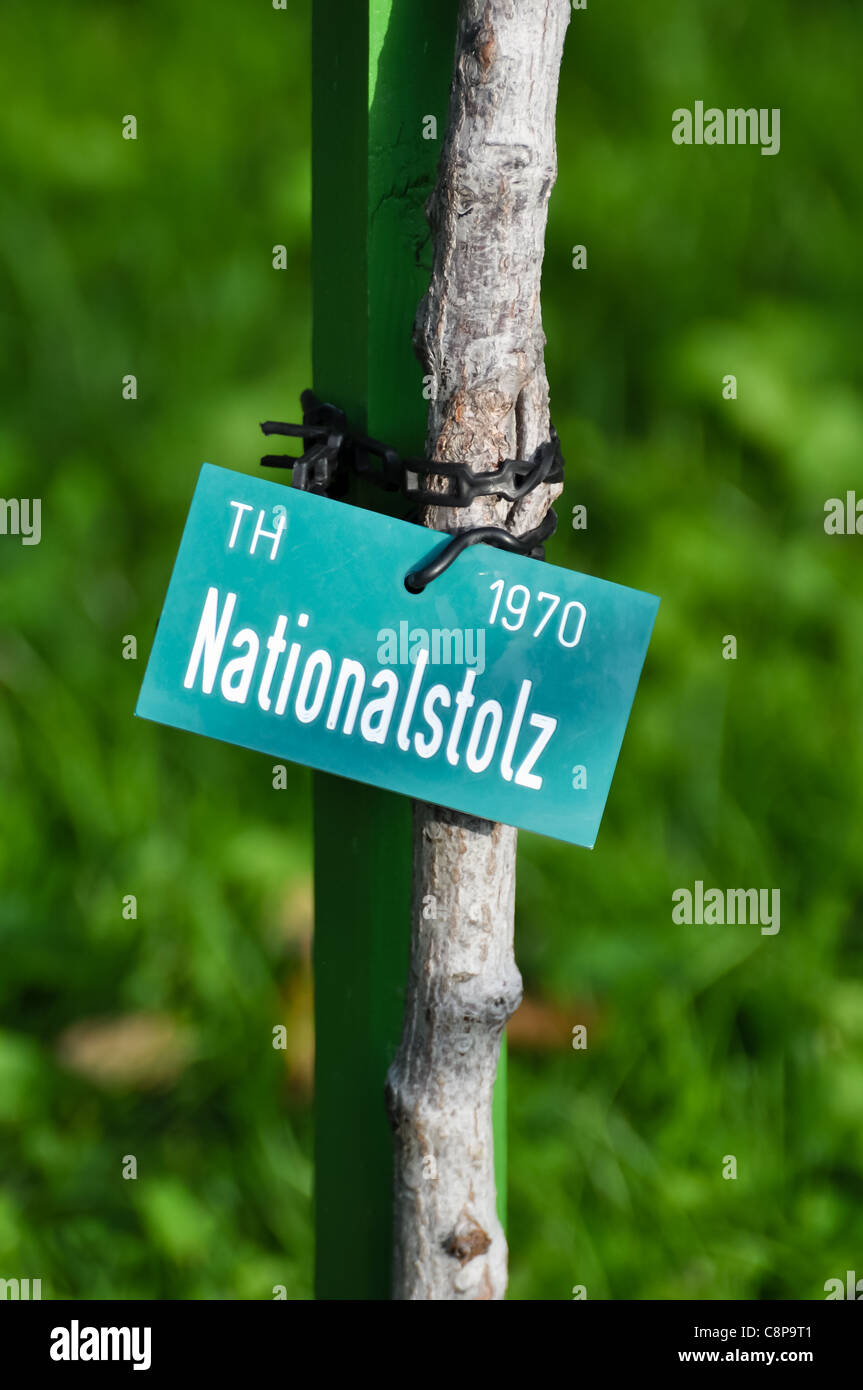 Symbol of national pride hi-res stock photography and images - Alamy