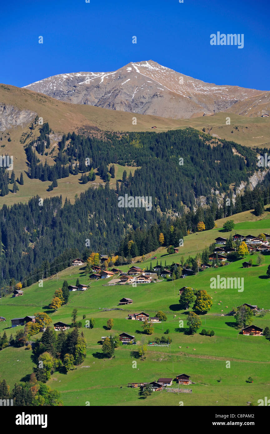 Altitude zones hi-res stock photography and images - Alamy