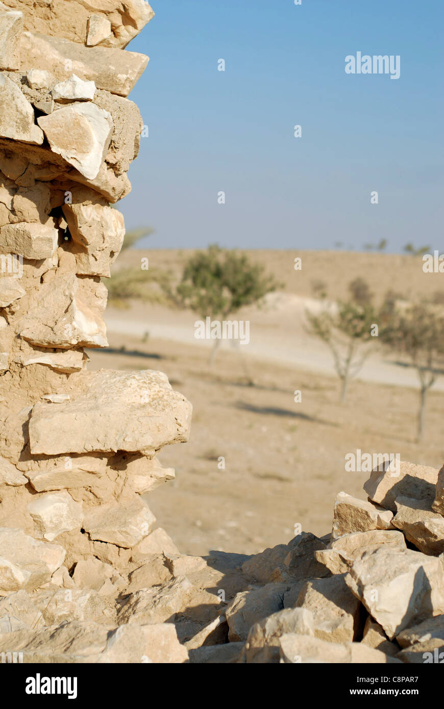 Desert day hi-res stock photography and images - Alamy