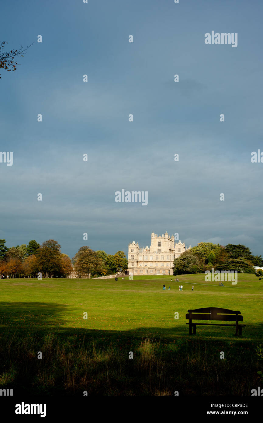 Stately foliage hi-res stock photography and images - Alamy