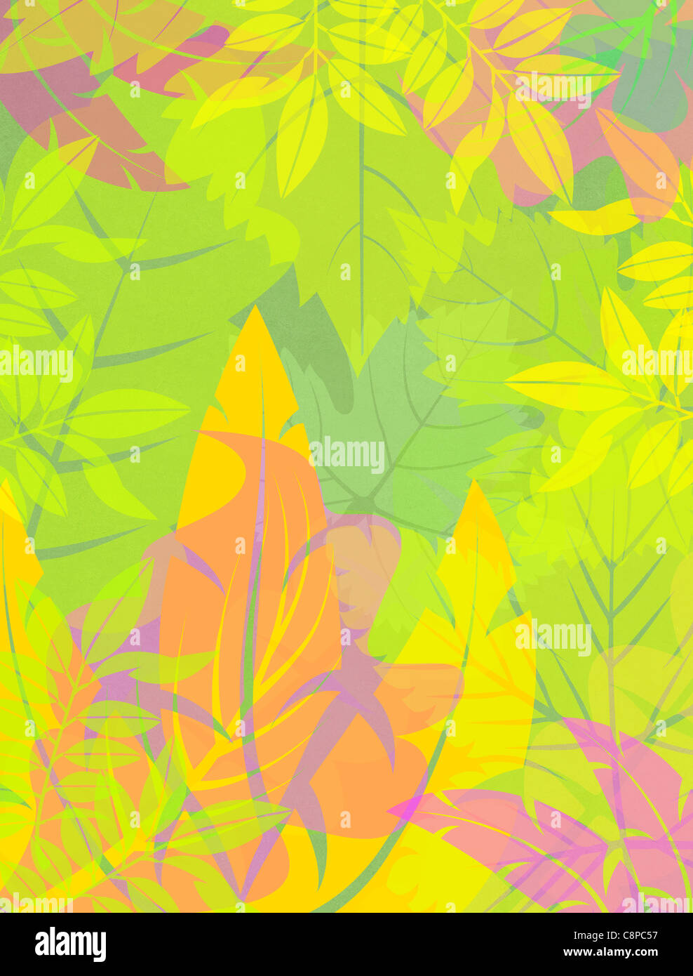 Graphics representing colorful leaves Stock Photo - Alamy