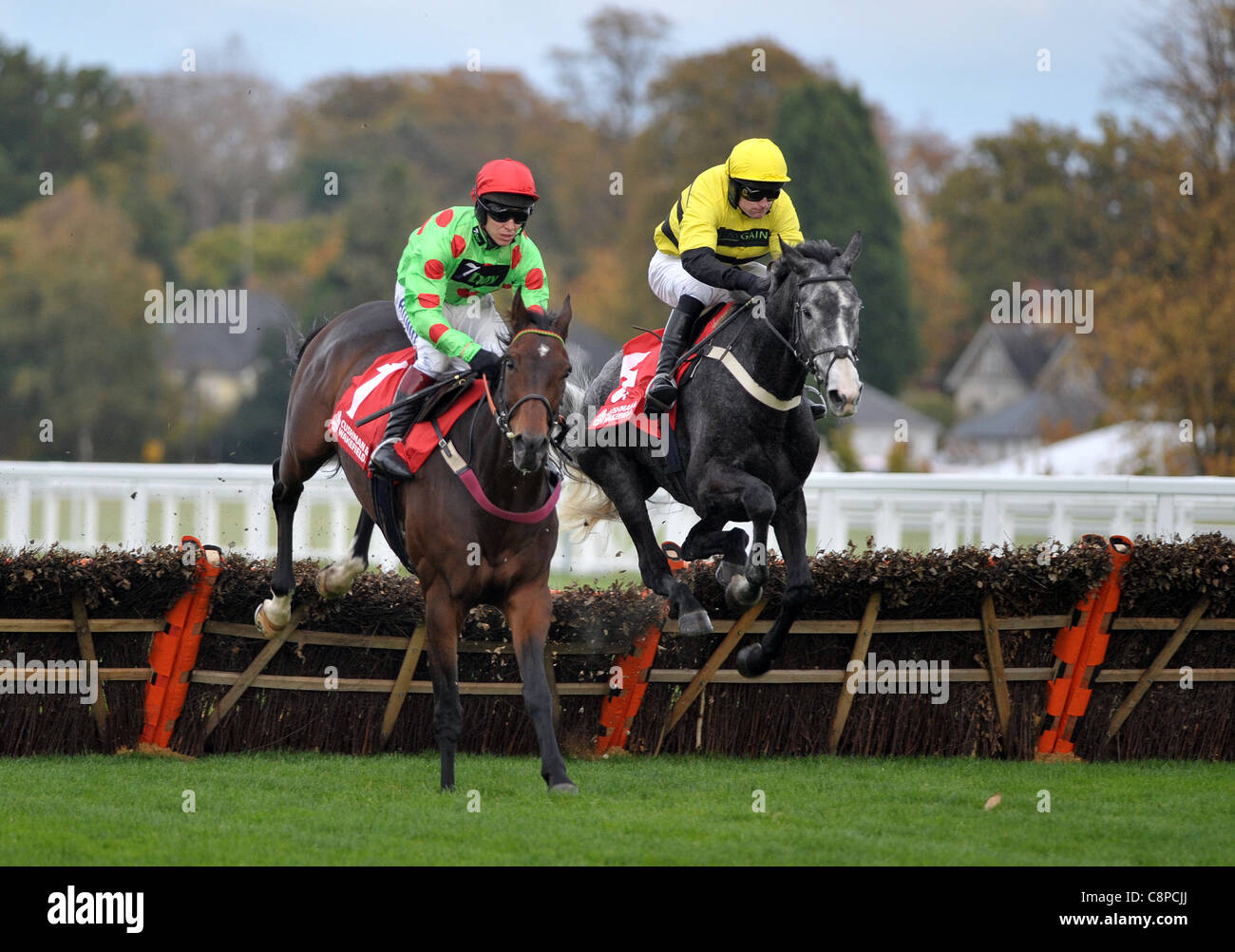 Horse racing court High Resolution Stock Photography and Images - Alamy