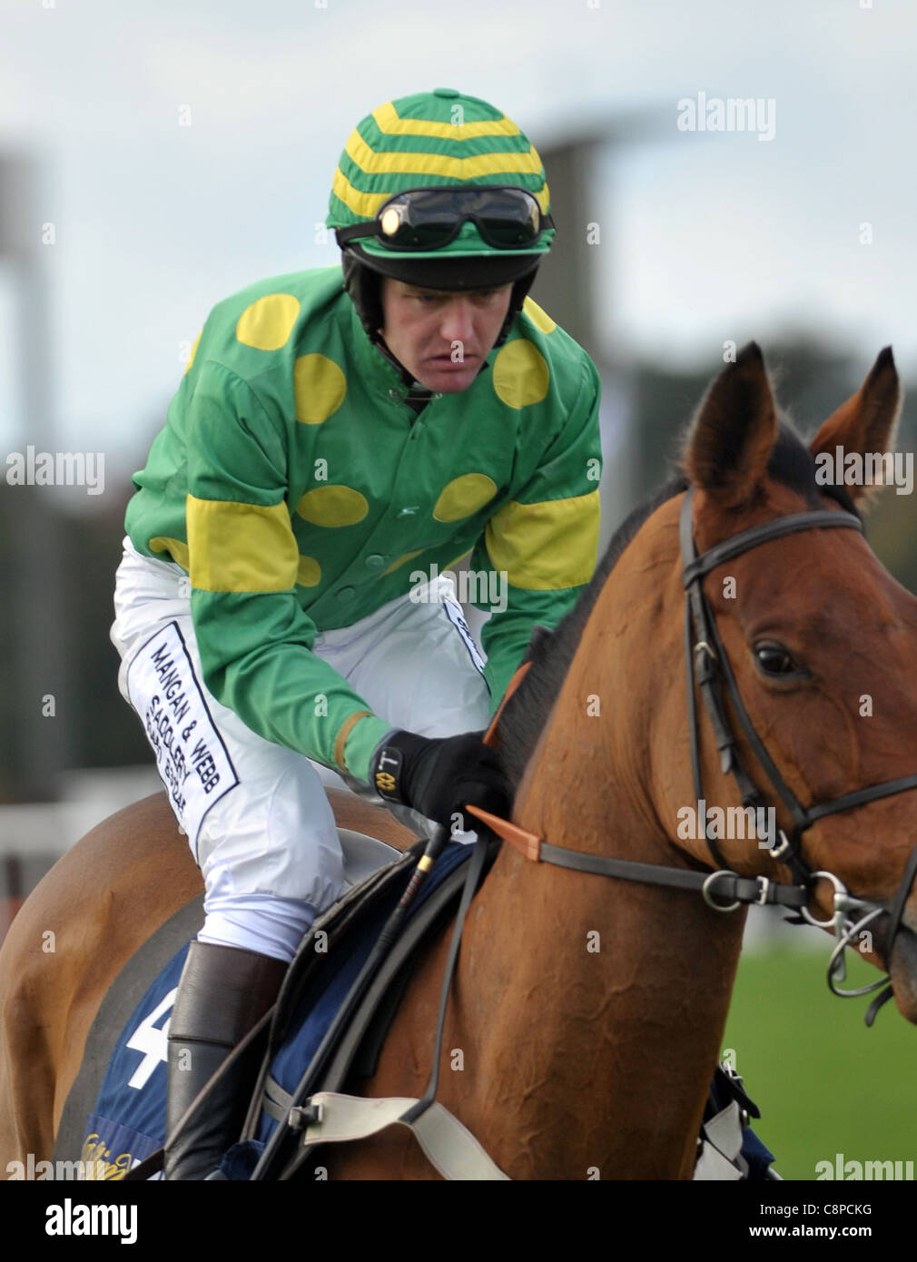 Tizzard hi-res stock photography and images - Alamy