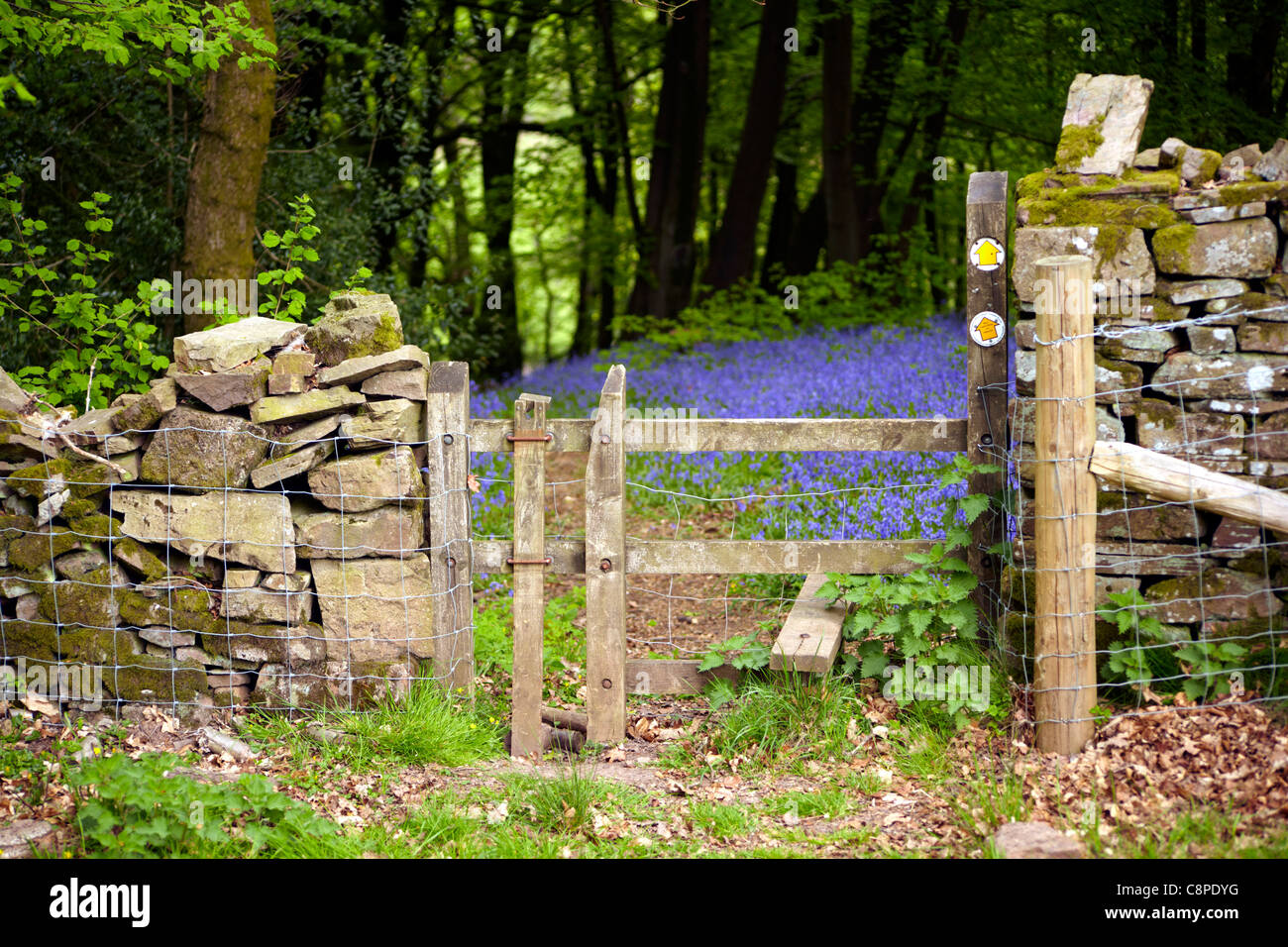 Rudry hi-res stock photography and images - Alamy