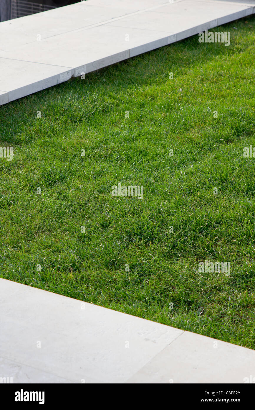 green grass view Stock Photo - Alamy