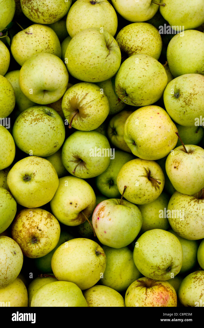 view from above of a group of red apples Stock Photo - Alamy