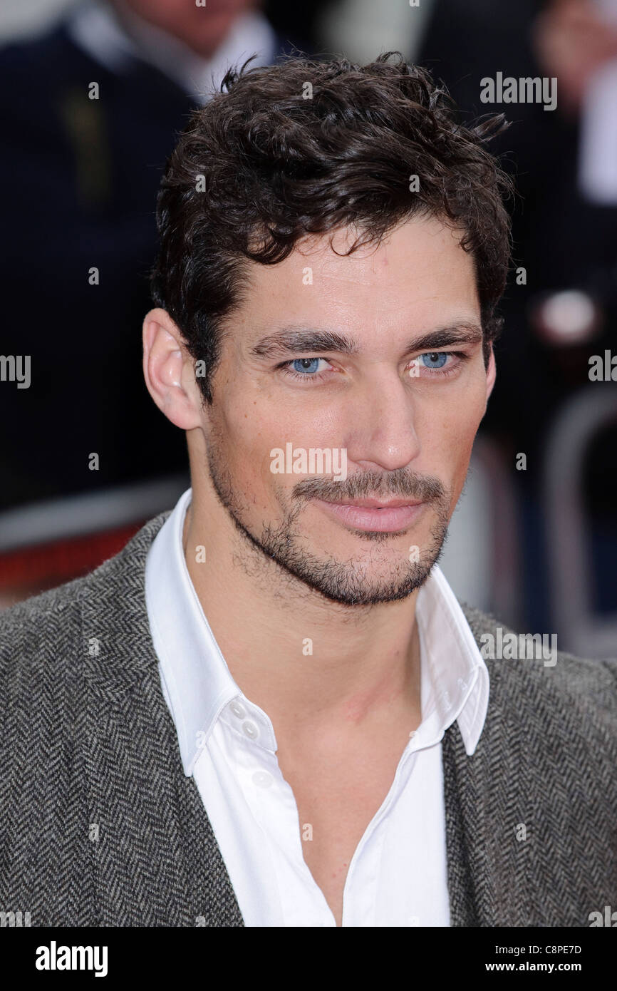 David Gandy Profile
