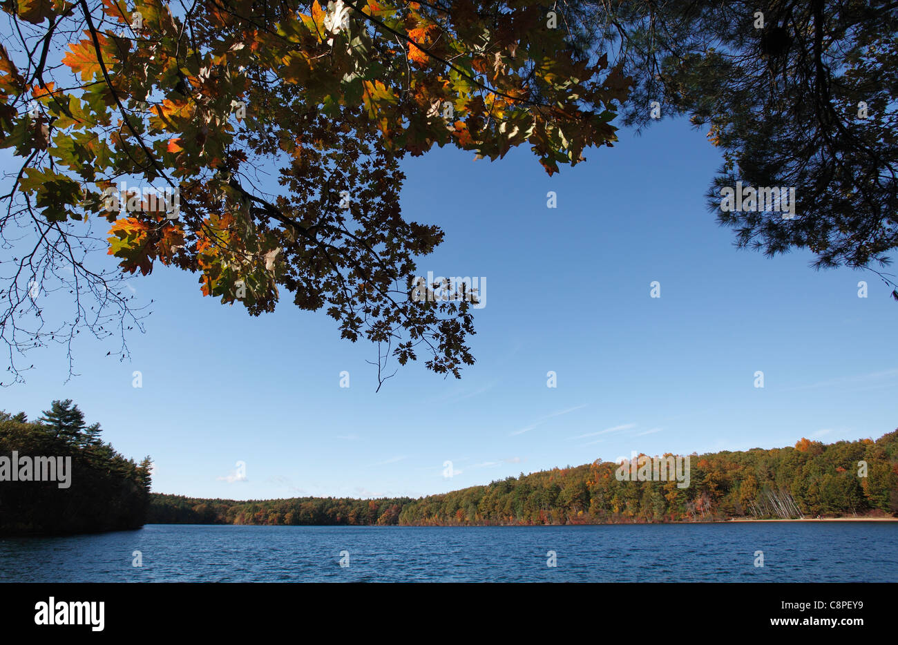 Walden Pond, Concord, Massachusetts Stock Photo - Alamy
