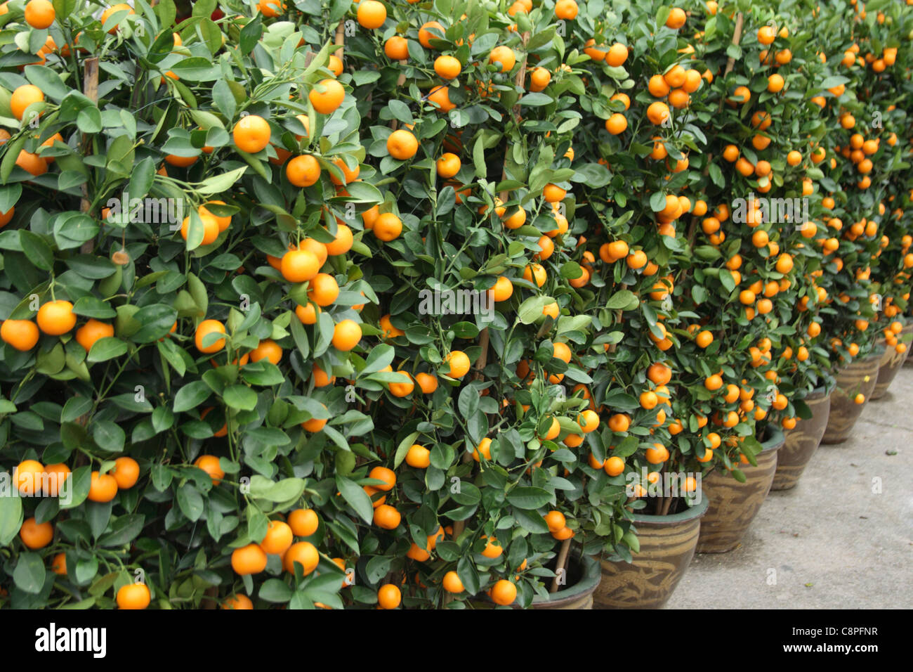 Prosperous hi-res stock photography and images - Alamy