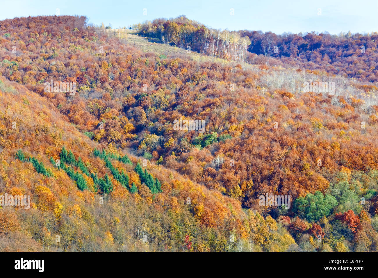 Golden mountainside hi-res stock photography and images - Alamy
