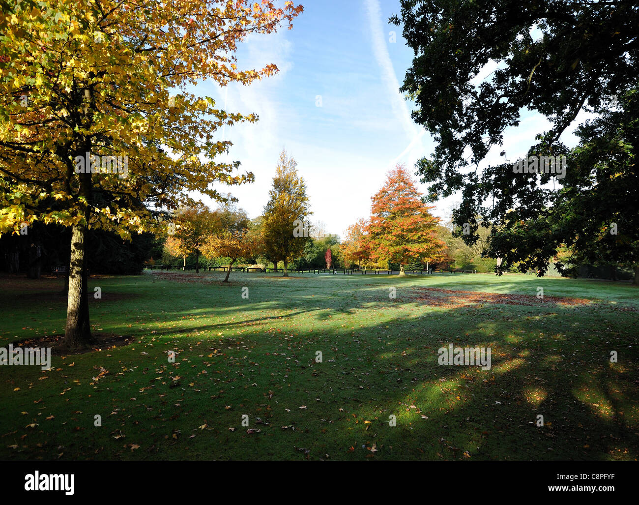 English sun hi-res stock photography and images - Alamy