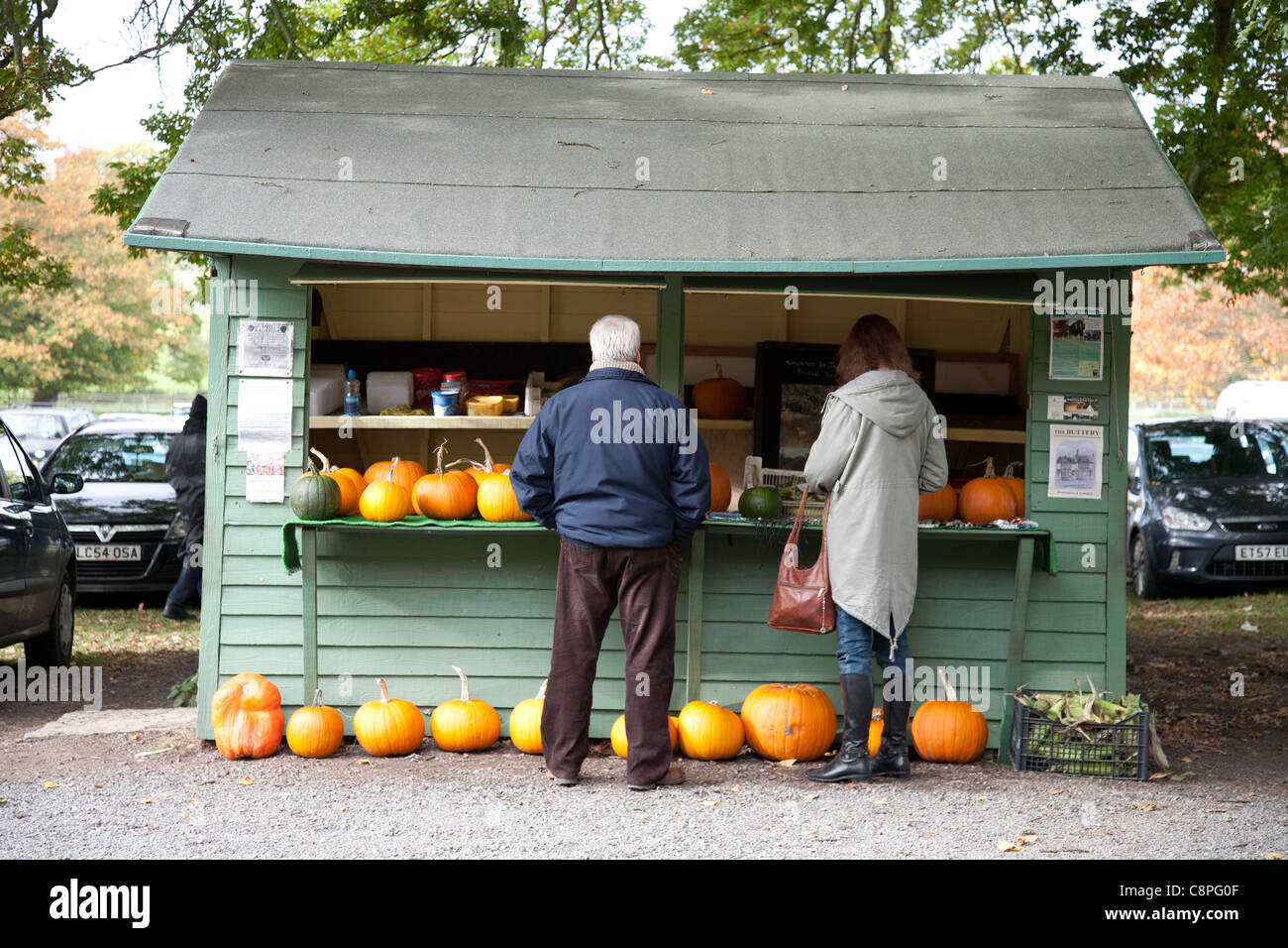 Carved pumpkins in the New forest at Halloween Stock Photo - Alamy